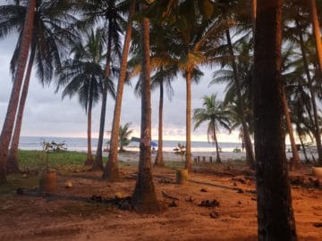 Rainy Season in Costa Rica - Guanacaste - updated in 2020